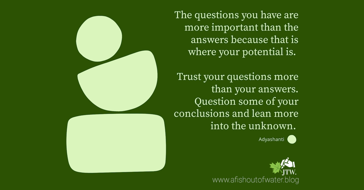 Questions are important – afishoutofwater.blog