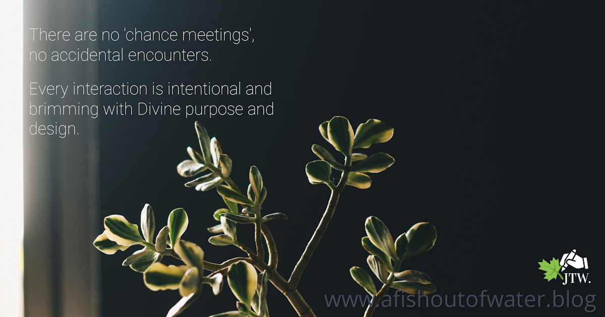 No accidental encounters. – afishoutofwater.blog